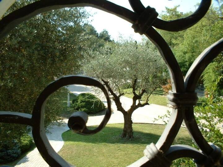 Stanza Betulla - Portogruaro