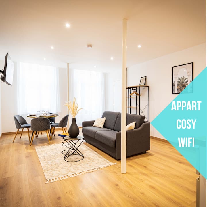 L'albatros 011 - Hypercentre * Cosy * Wifi - Saint-Quentin