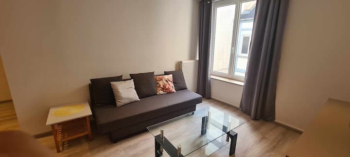 T3 Cœur D’orleans Refait à Neuf - Orléans
