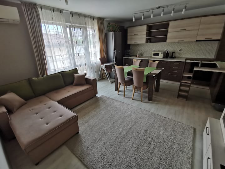 Cozy And Roomy Apartment In Vitosha District - Sofia