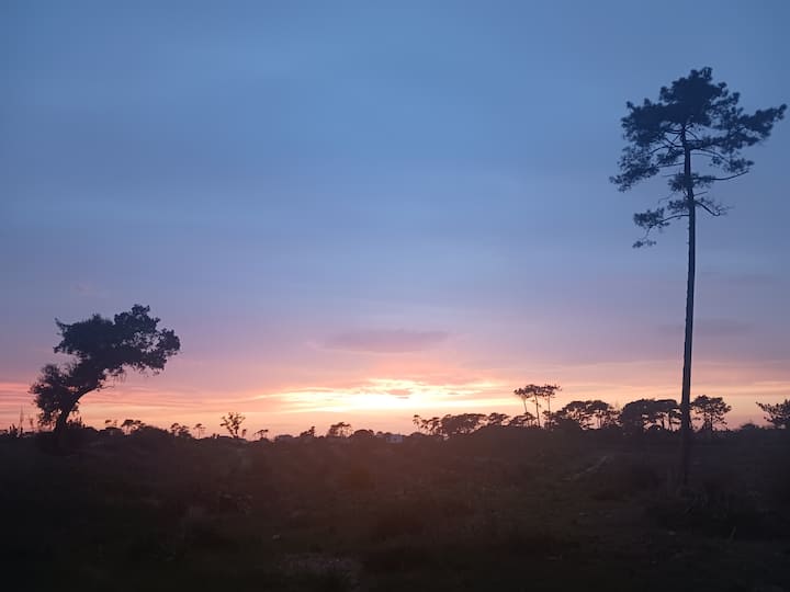 Maison Anglet Plage Et Forêt - Bayonne