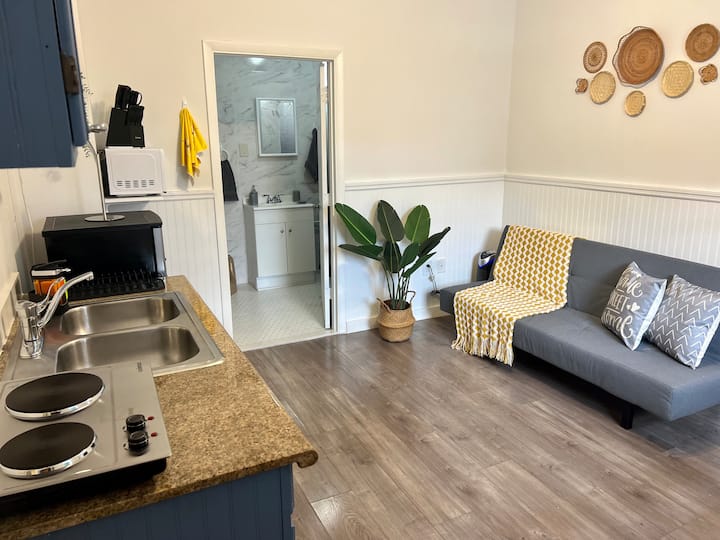 Cozy Apartment Center Little Havana Near Brickell - Miami, FL