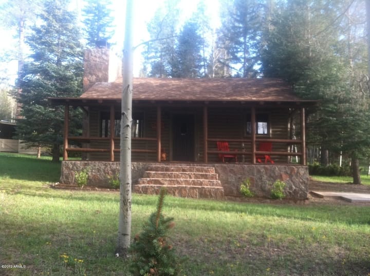 2 Bedrm, Sleeps 6, 2  Baths-kinkade Inspired Cabin - Alpine, AZ