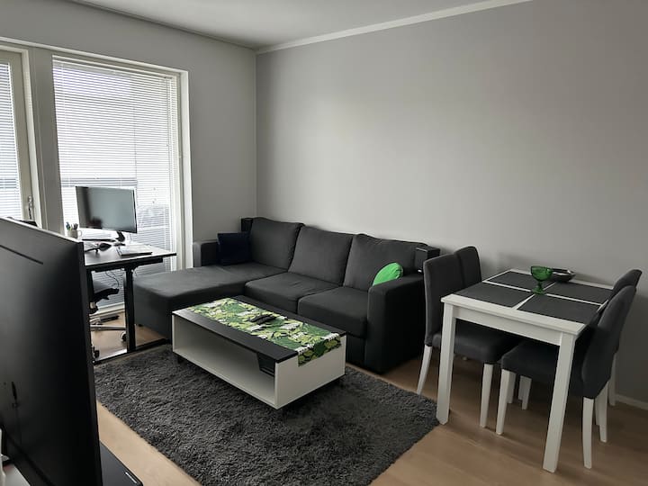 Kaksio Hyvällä Sijainnilla - Pori