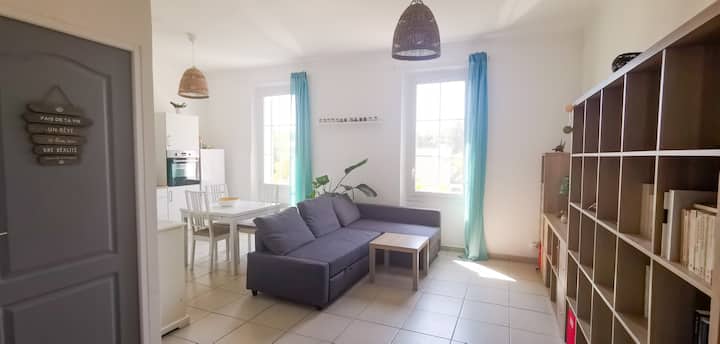Appartement Lumineux Dans Maison - Tolone