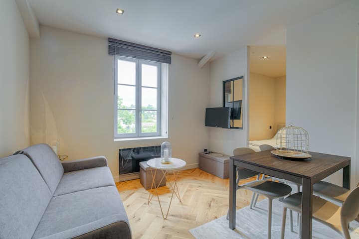 Joli T1 Pour 4, Champagne/monts D'or/lyon - Neuville-sur-Saône