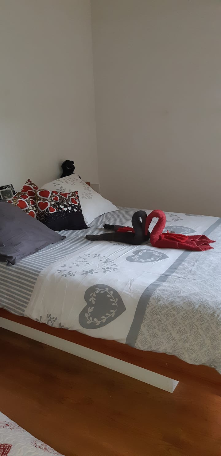 Face Au Lac Et Côté Montagne Chambre Vue Lac - Aix-les-Bains