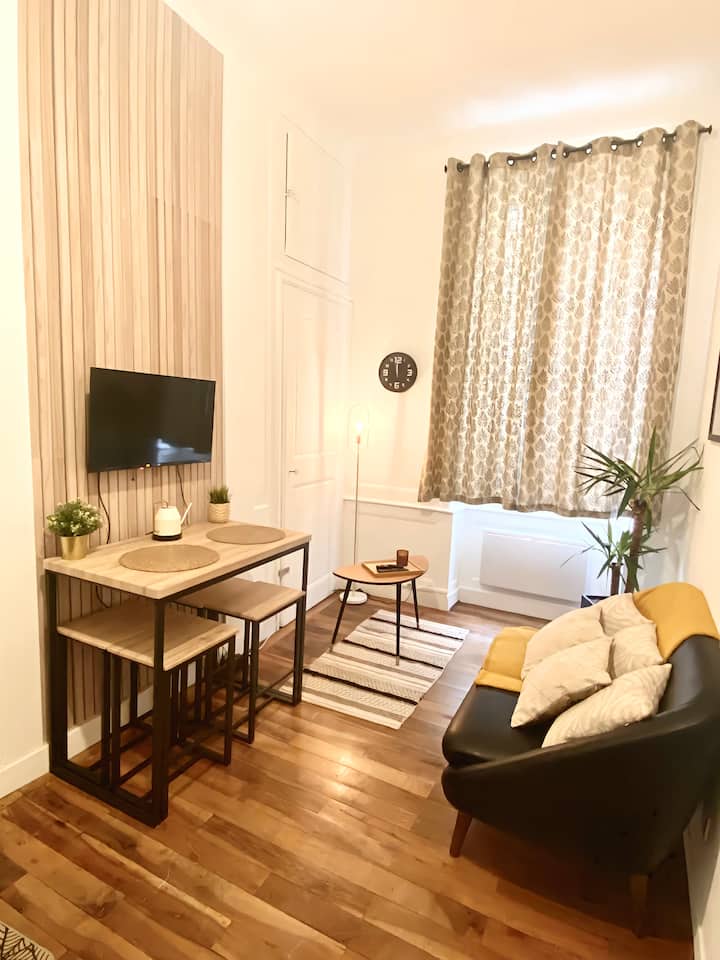 Joli Appartement En Hyper Centre De Grenoble - Grenoble