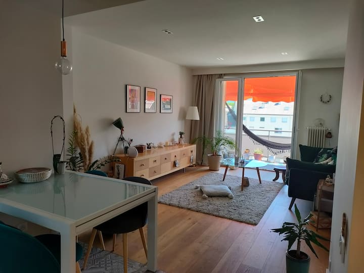 Appartement 2 Pièces/ Galeries Lafayette - Annecy-le-Vieux