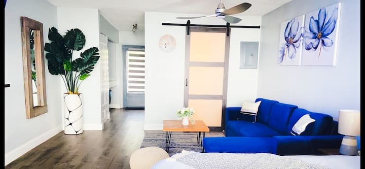 New! Posh Condo W/king Bed! - Christiansted