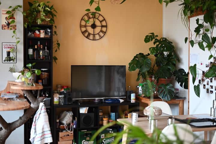 Gemütliches Zimmer In Wg - Graz