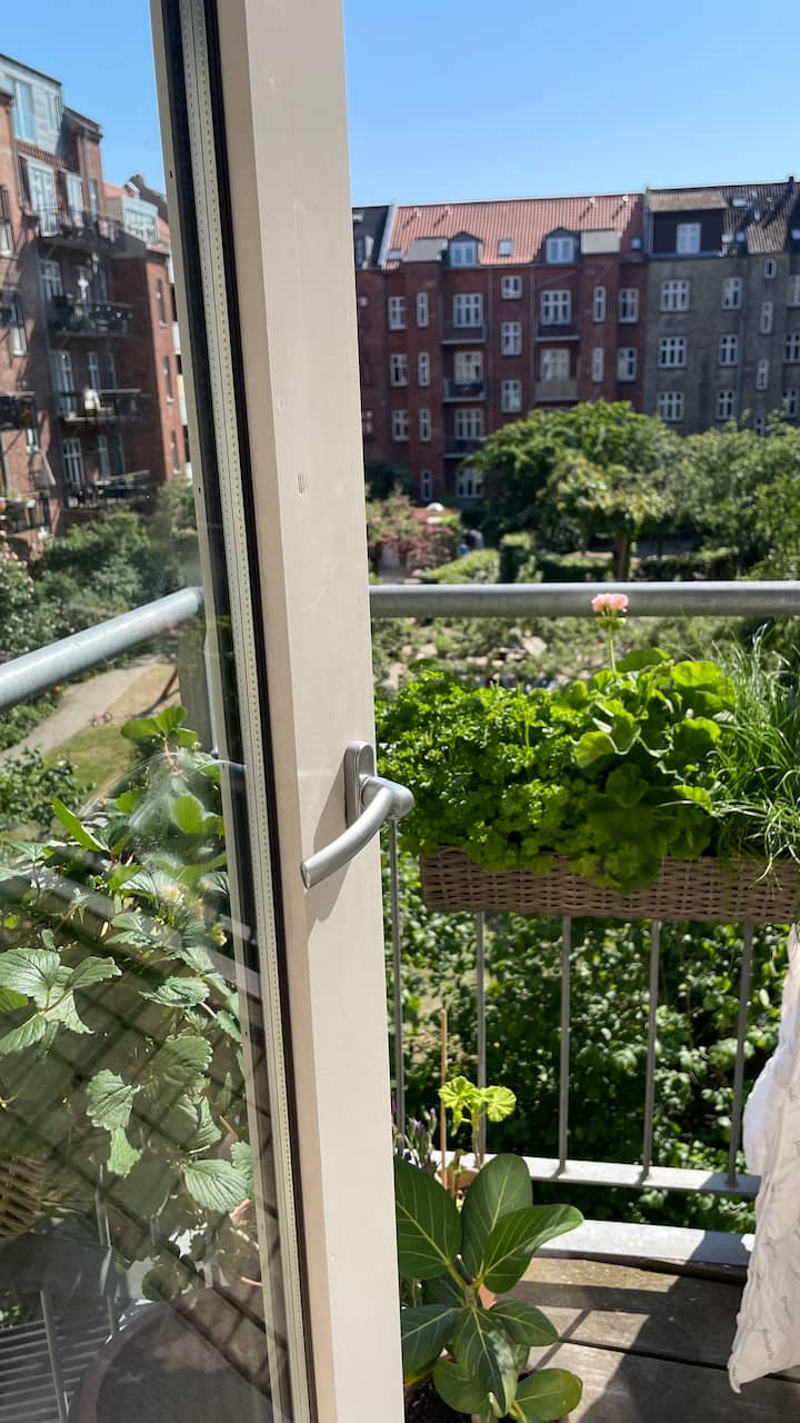 Oase Midt I Aarhus - Aarhus