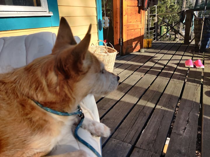 Villa Nuuksion Halaus - Nummela