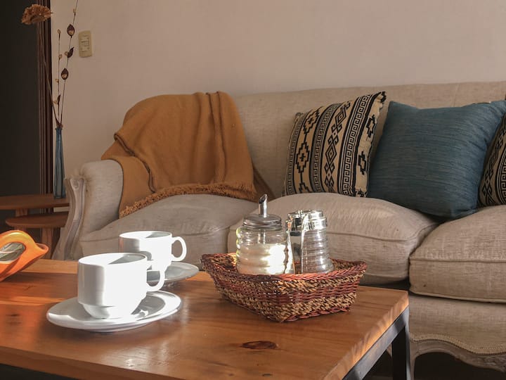 Palermo Soho Botanico Apartment - Buenos Aires