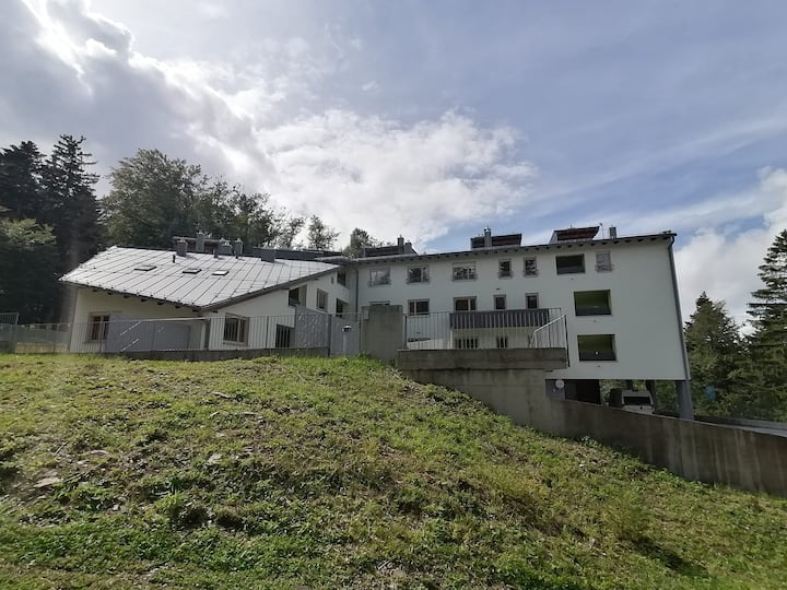 Apartment Alpina Maribor-pohorje - Maribor