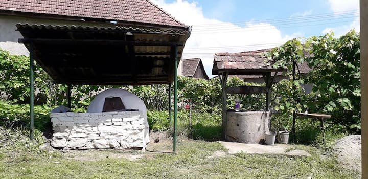 A Csendélet Megtestesülése - Cristuru Secuiesc