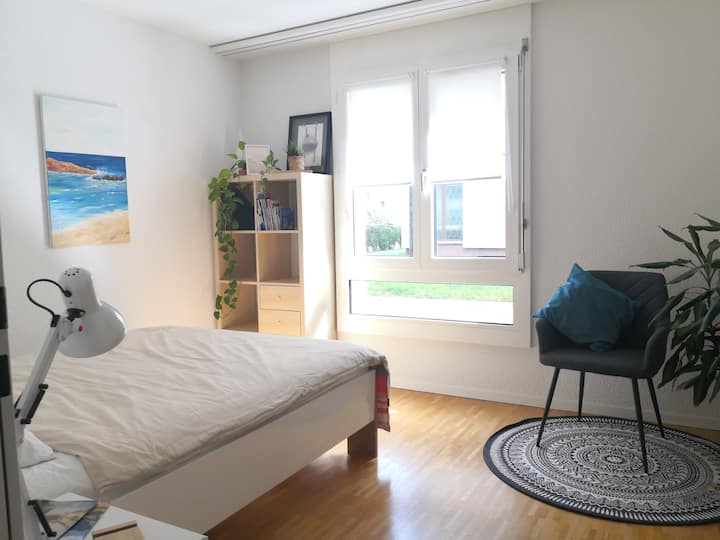 1 Bedroom Appartment - Luzern