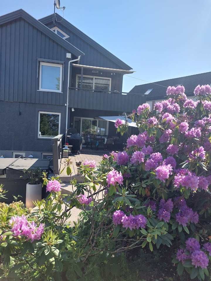Privat Party/selskap Sted - Oslo