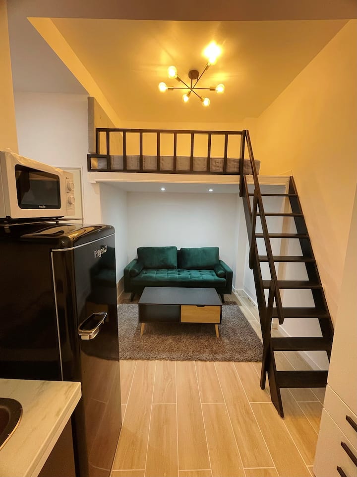 Charming Studio In Nice Center With Ariconditioner - ibis budget Nice Aeroport
