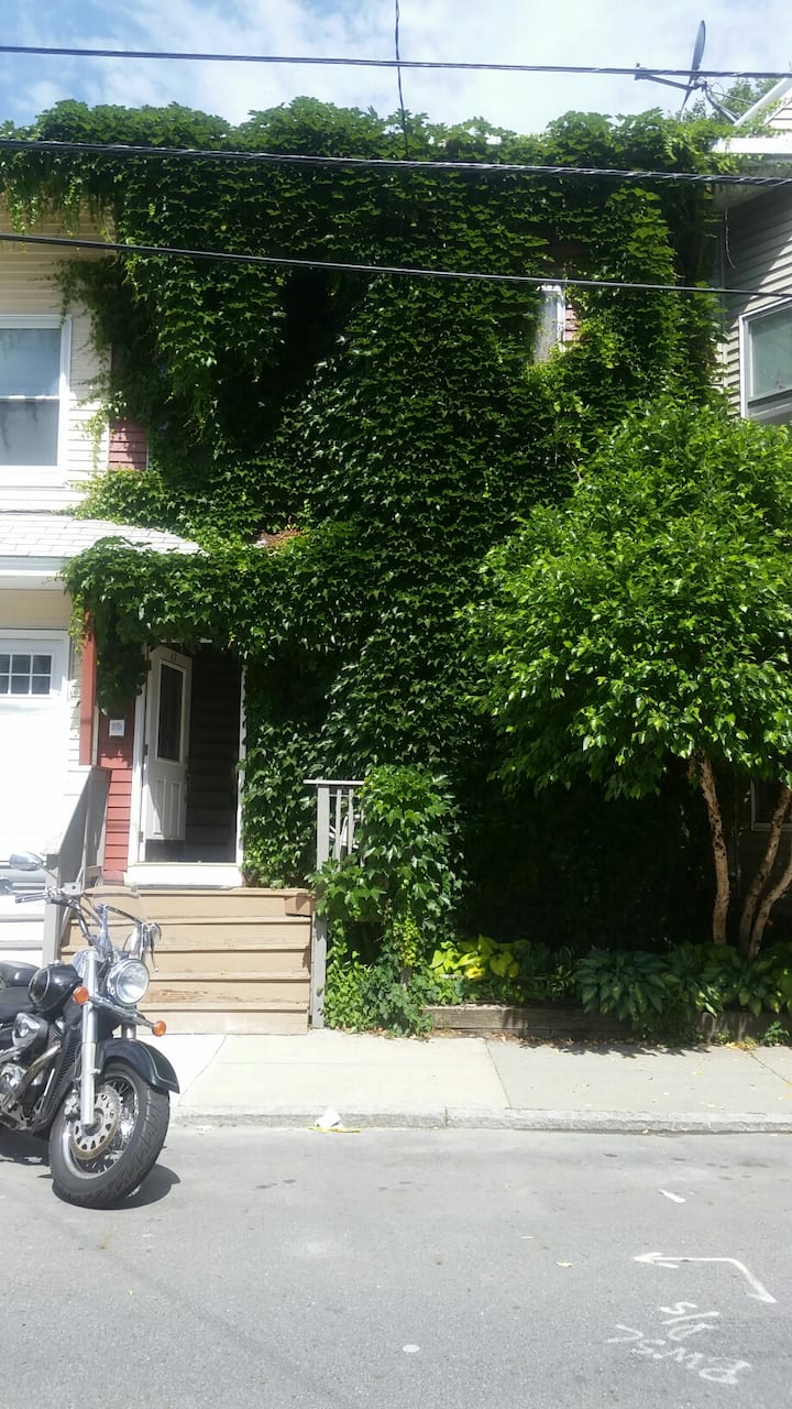 Happy Green House, Boston Landing, Bu, Bc, Harvard - ブルックライン, MA