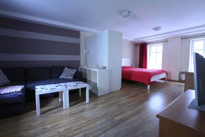 Spacious And Cosy Flat In The City Center Of ŁóDź - Łódź