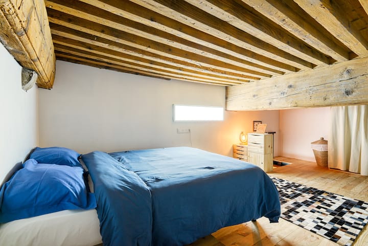 Charming Wood / Hyper Centre - Place Sathonay - Lyon