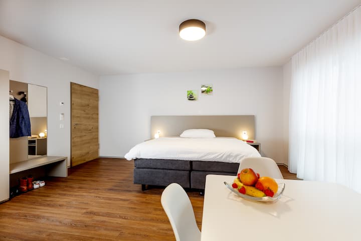 Boardinghouse - Studio Comfort - 聖加倫