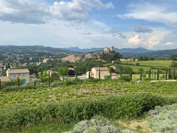 Villa Vaison Avec Piscine - Vaison-la-Romaine