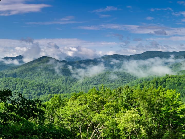 Mountain Top Lodge – All Inclusive Resort Property - Robbinsville, NC
