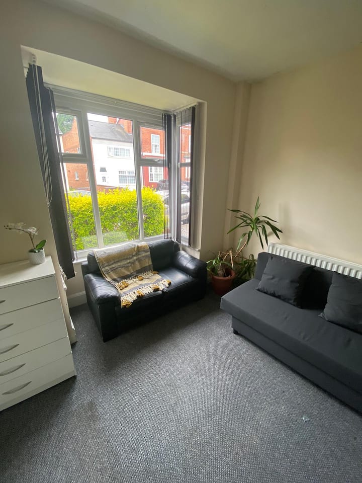 Terraced Modern House - Birmingham