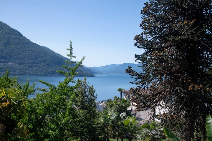 Lake Blues - Brissago