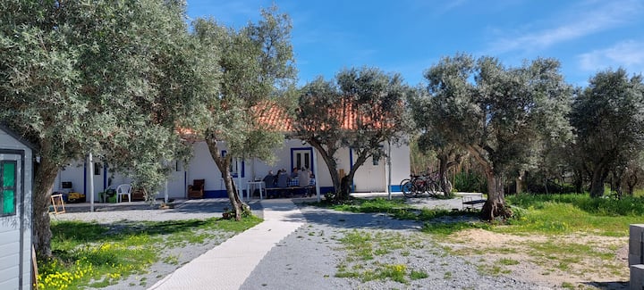 Alojamento Rural Petfriendly Alentejo - Casa Branca