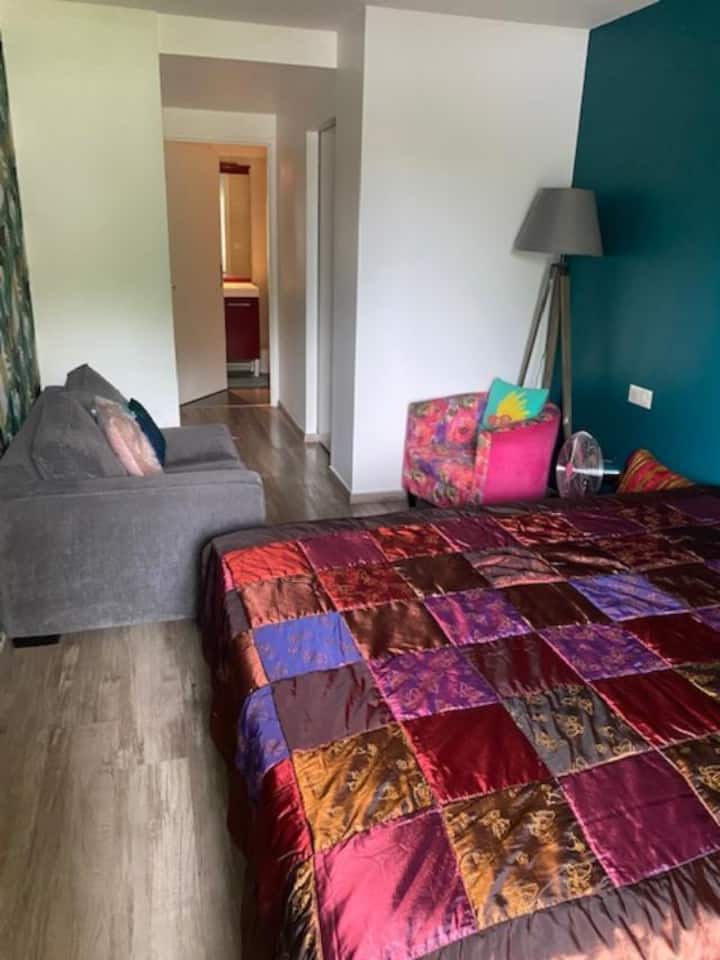 Belle Chambre Suite à Bayonne. - Anglet
