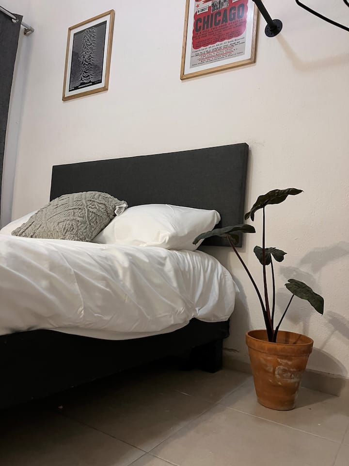 Loft In The Heart Of The City Center Of San Pedro - Monterrey