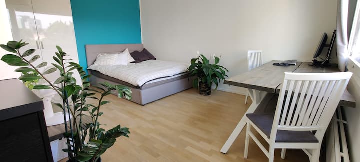 Modern Studio, Central Location And Free Parking - Helsinki