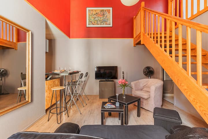 Appartement Au Cœur D'albi - Albi