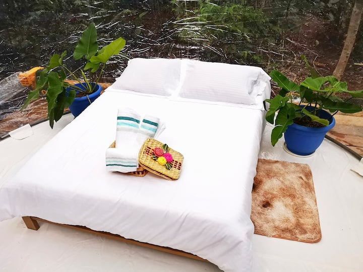 Glamping Triple Selva Amazonas - Leticia