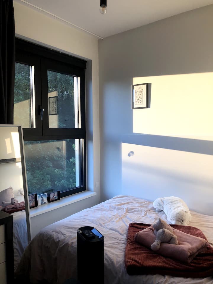 Studio(only Monthly Rented) - Ghent (Belgium)
