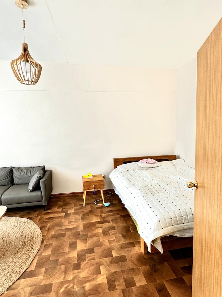 Central Ub Apartment: Cozy & Old - 烏蘭巴托
