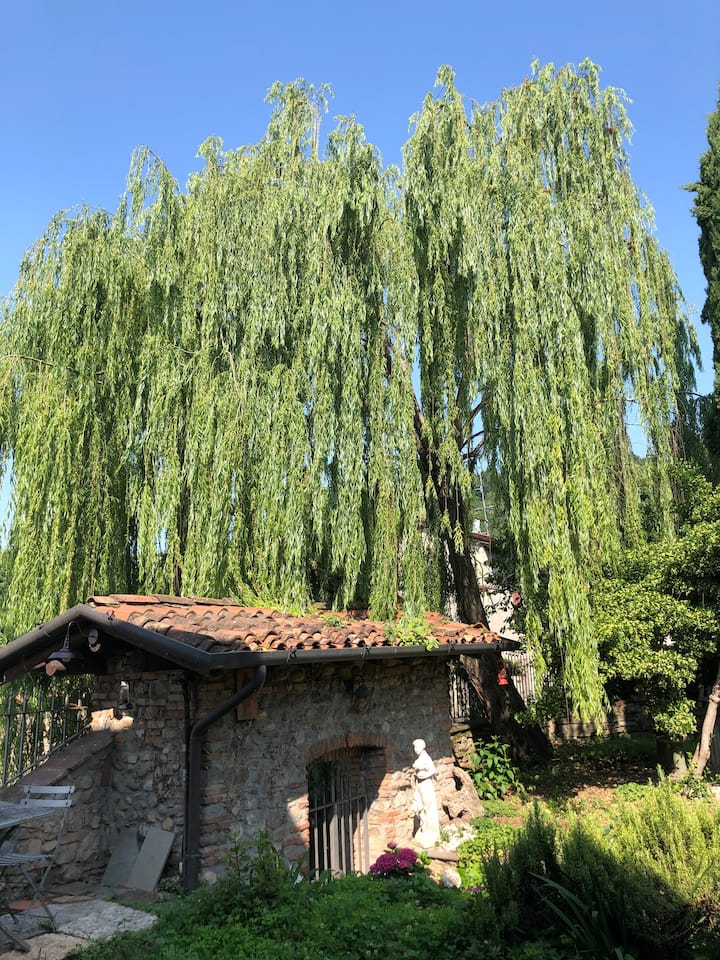 Il Salice B&b - Camera Matrimoniale - Ospitaletto