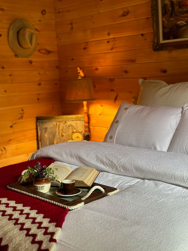 The Downtown Cabin - Guelph