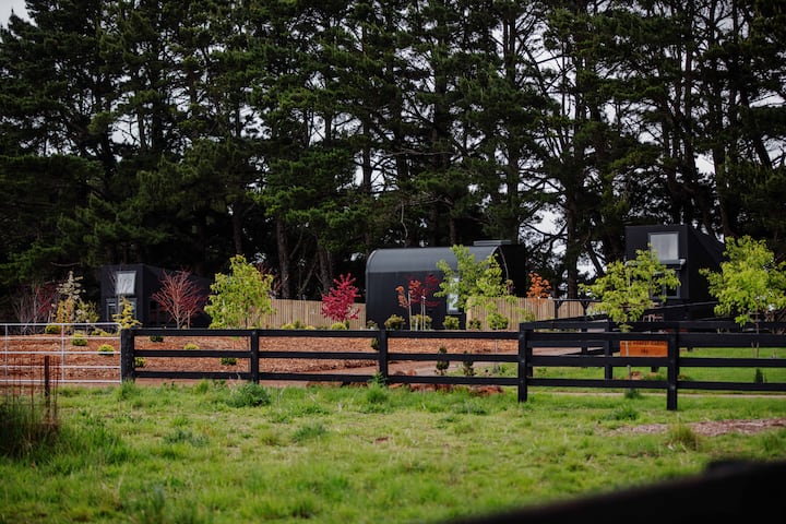 Pine Forest - Luxury Tiny Cabins, Idyllic Setting - Burrawang