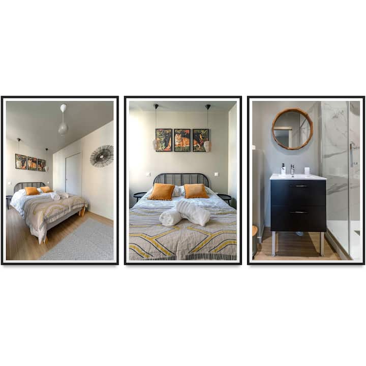 Superbe Appartement Climatisé Dans Immeuble Classé - Vichy