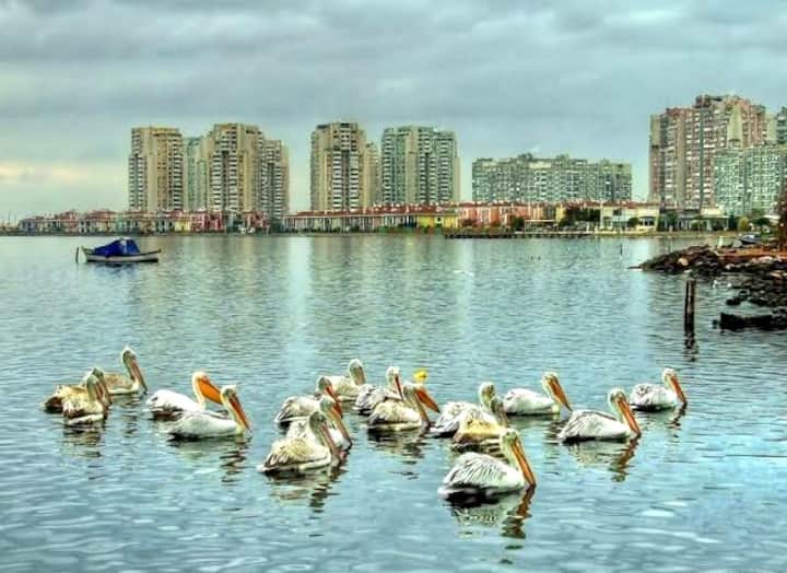 Mavişehir Denize 100 Mt Kiralık - İzmir