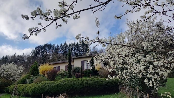 Maison Avec Piscine à Figeac - Lot