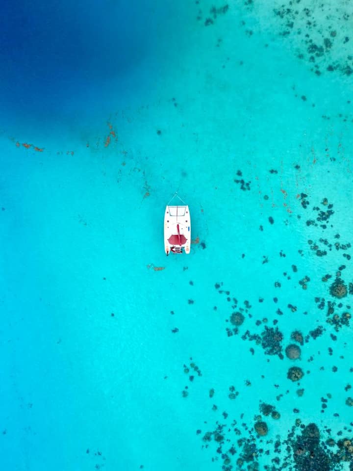 Croisière Magique Privée Sur Le Lagon De Borabora - Bora-Bora