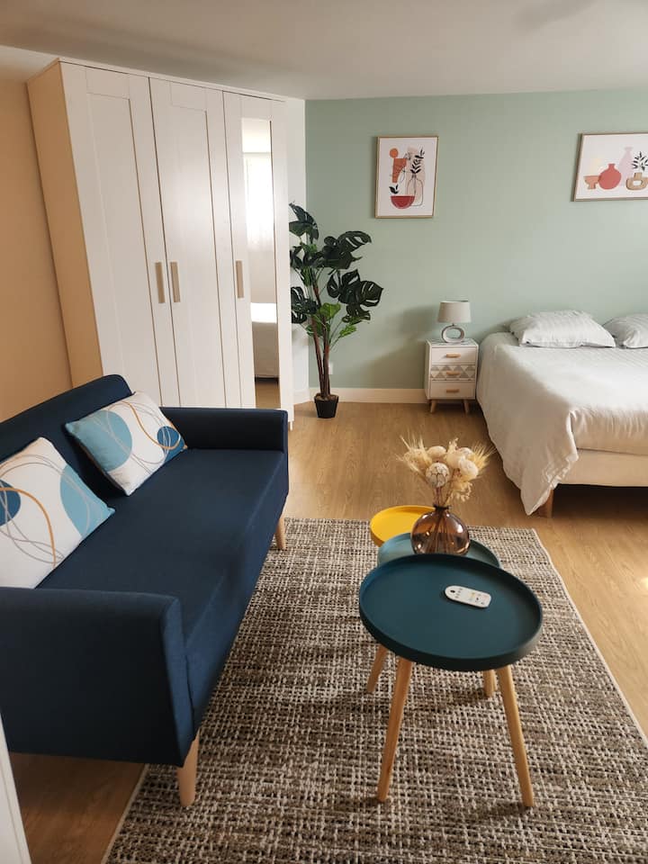 Studio 32m2 Vannes Avec Jardin - Vannes