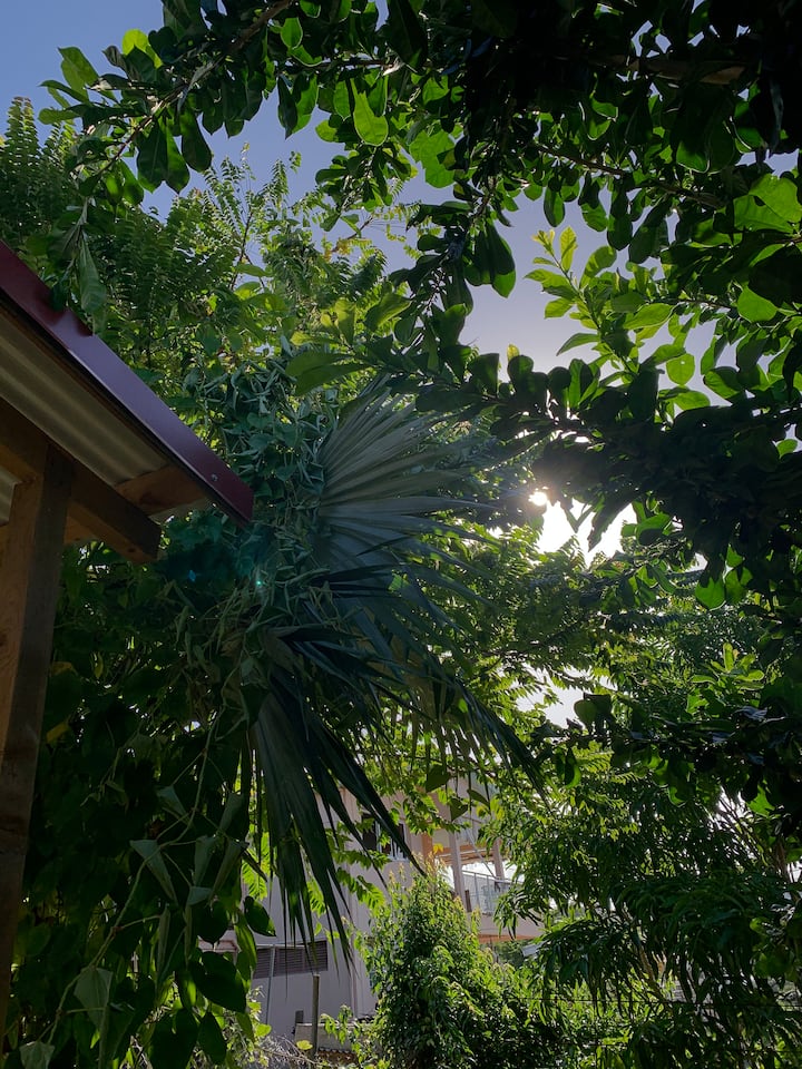 A L'ombre Des Manguiers - Fort-de-France