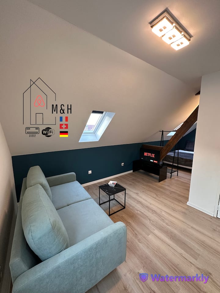 Charmant Studio Saint-louis|basel|climatisé4️⃣ - Basel