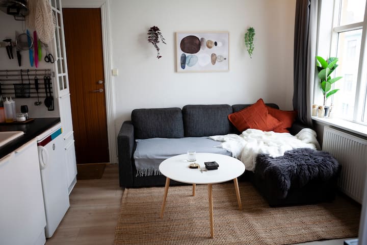 Cozy City Center Apartment - Reykjavík